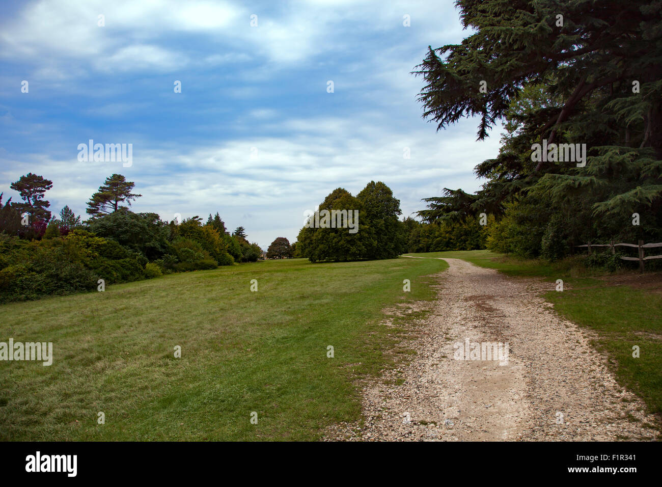 A path worn through the English countryside Stock Photo - Alamy