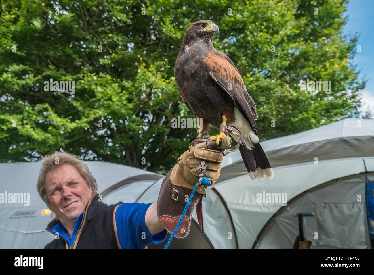 Holding Hawk High Resolution Stock Photography and Images - Alamy