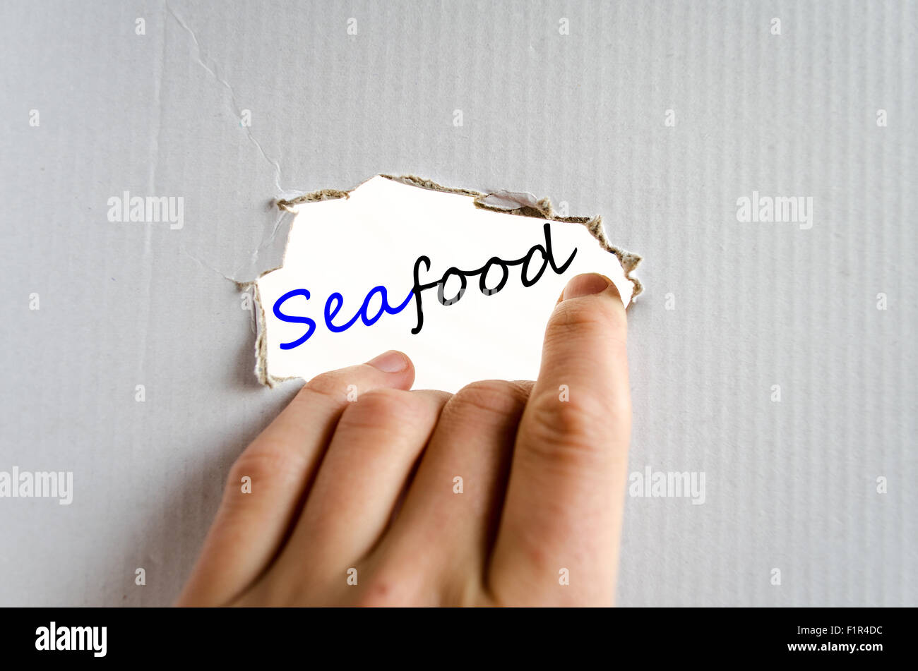 Seafood text concept isolated over white background Stock Photo - Alamy