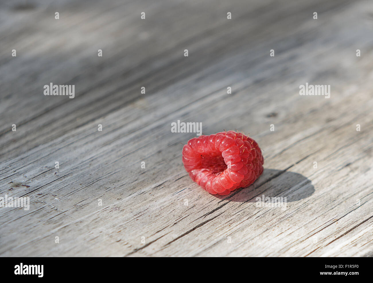Single red raspberry on a rustic table in summer Stock Photo - Alamy