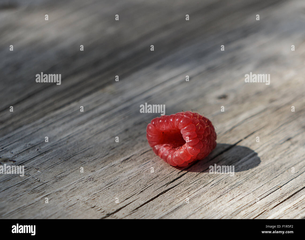 Single red raspberry on a rustic table in summer Stock Photo - Alamy