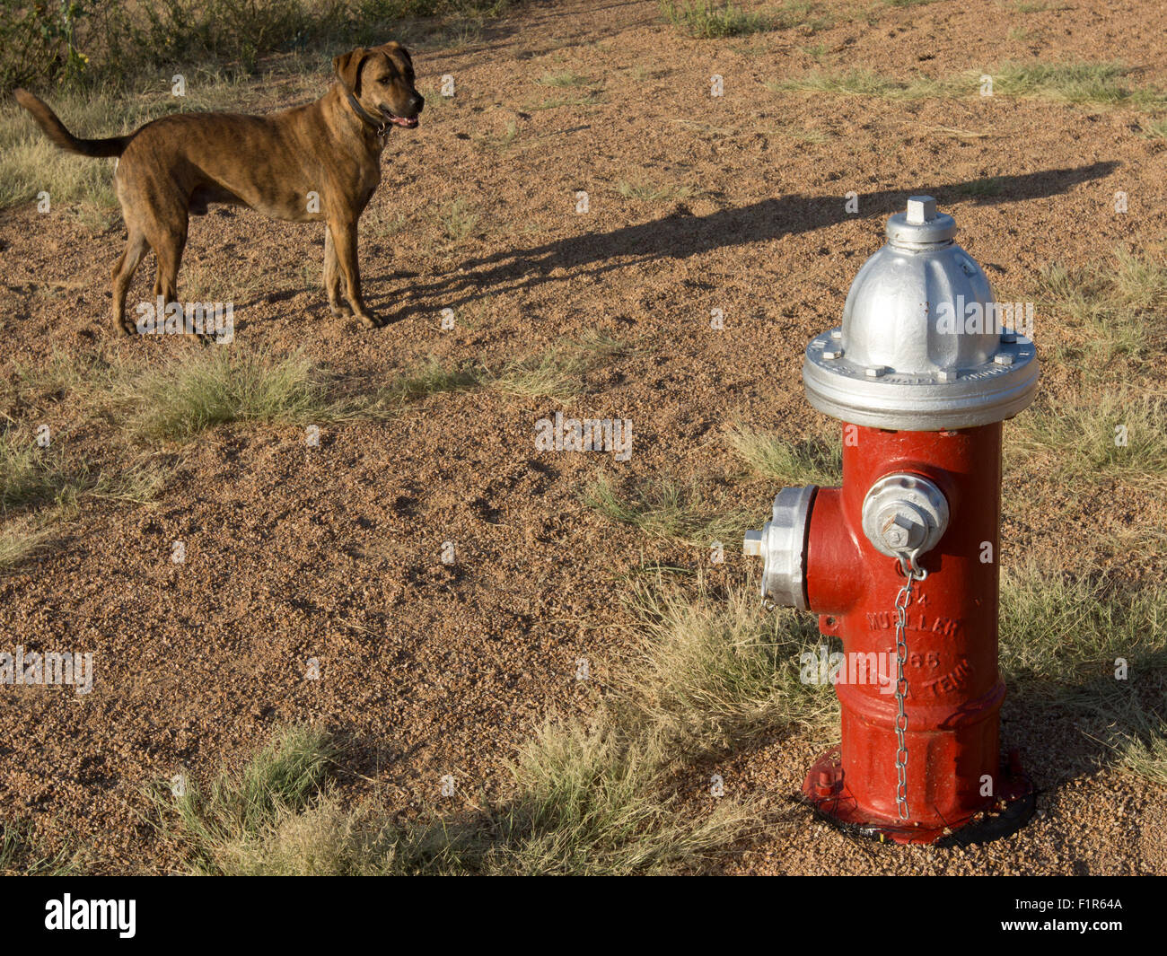 Fire prevention safety hi-res stock photography and images - Alamy