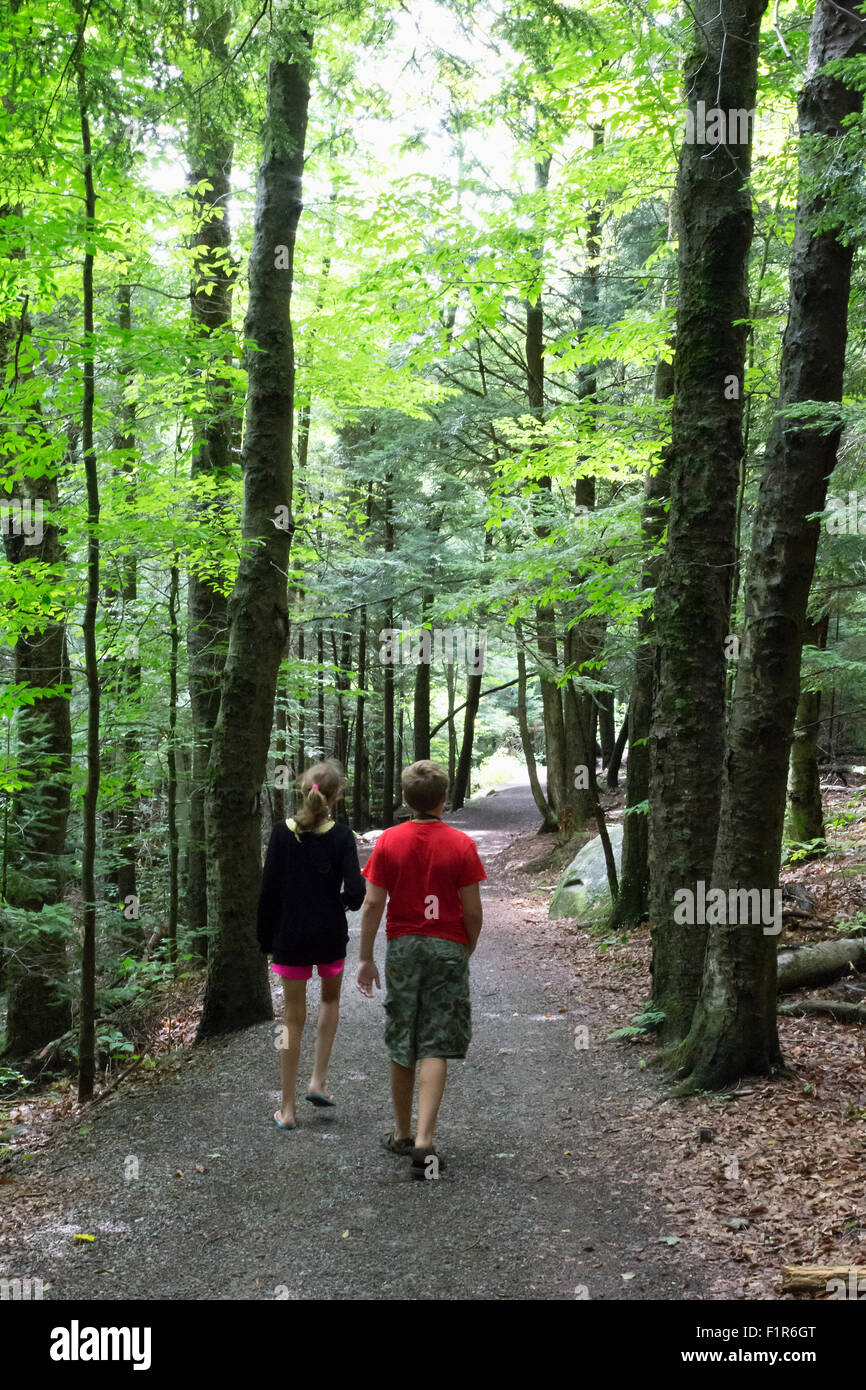 Forest Scene with People Stock Photo - Alamy