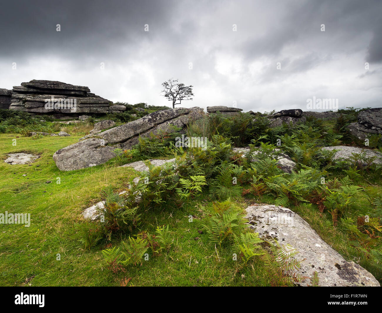 Dartmoor. Bad weather day Stock Photo - Alamy