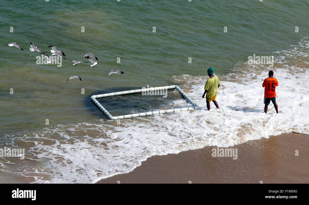 Away the gulls hi-res stock photography and images - Alamy