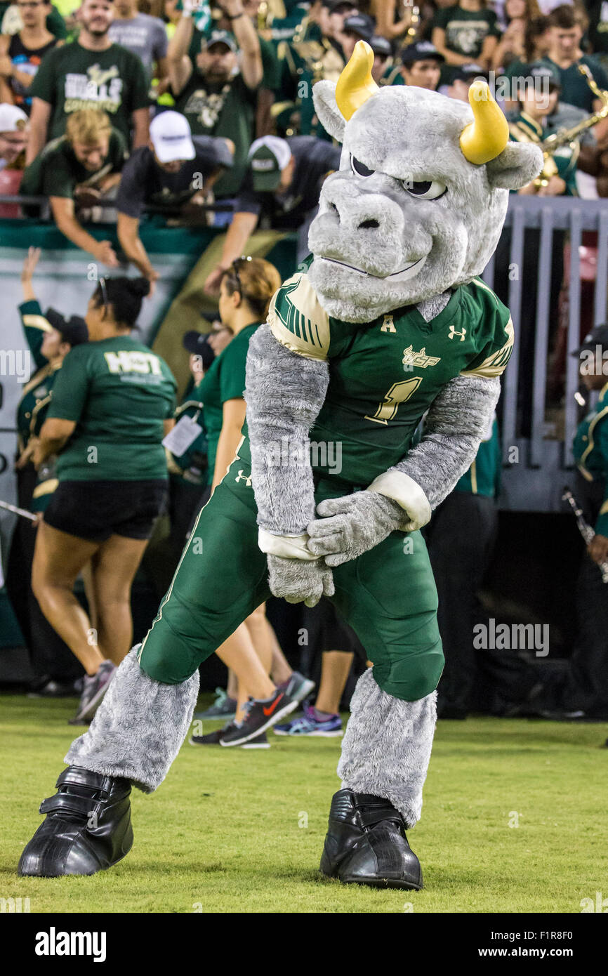 University of south florida bull hi-res stock photography and images ...