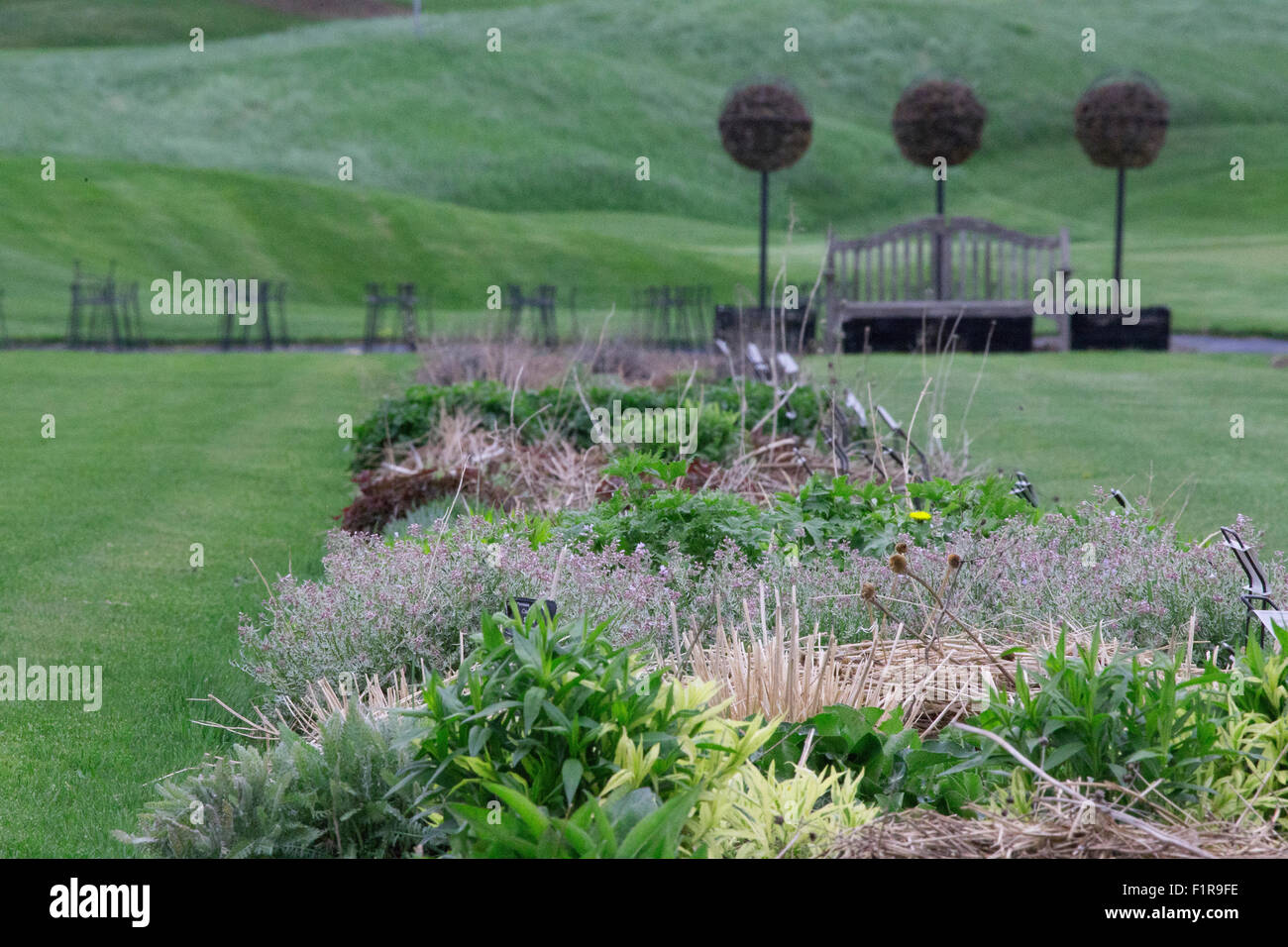 Flowerbed in fall with flowers cut back, lush green grass, bench and ...