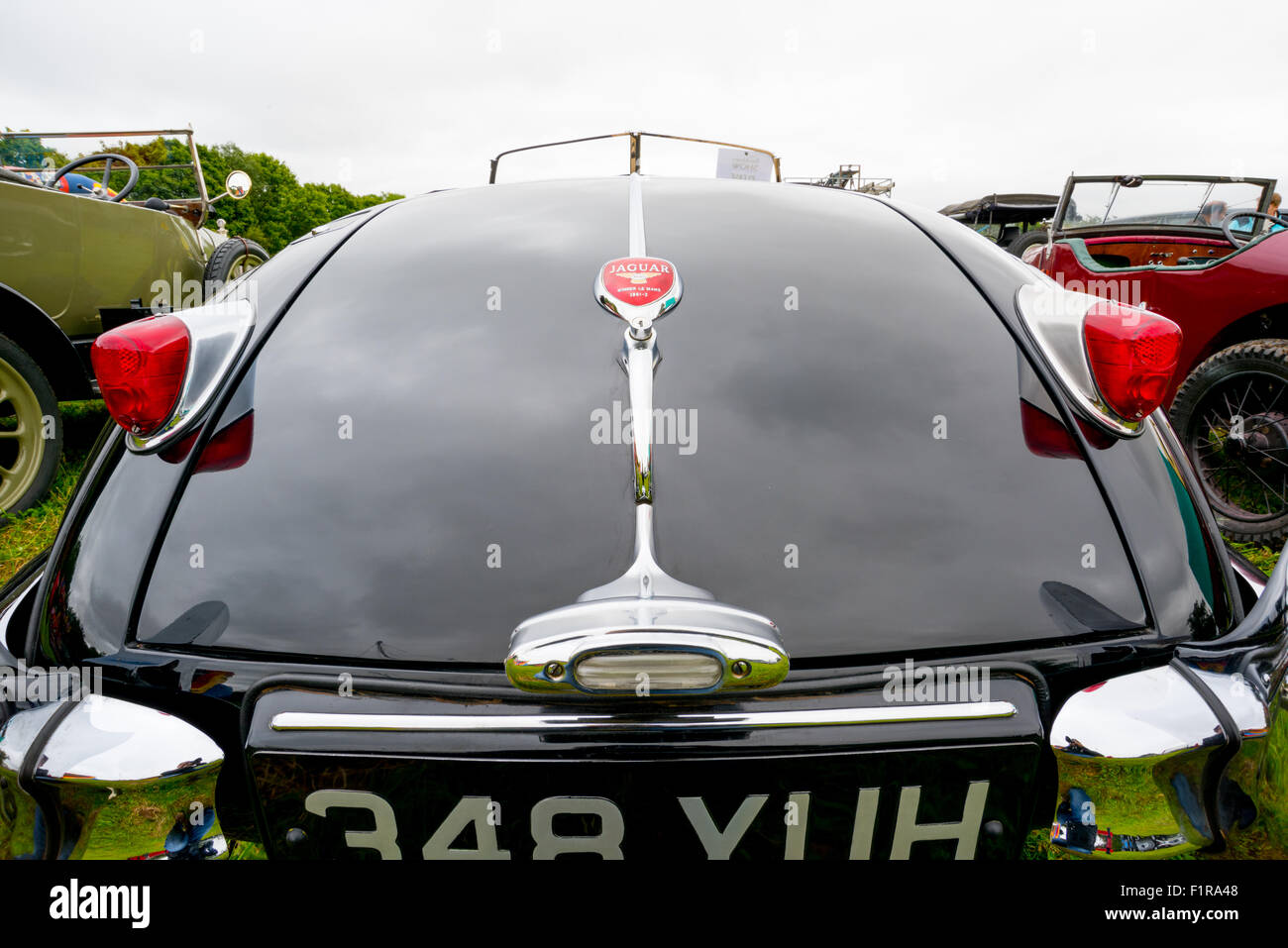 A rear view of a 1955 black Jaguar XK140 at The Beckbury Show 2015 ...