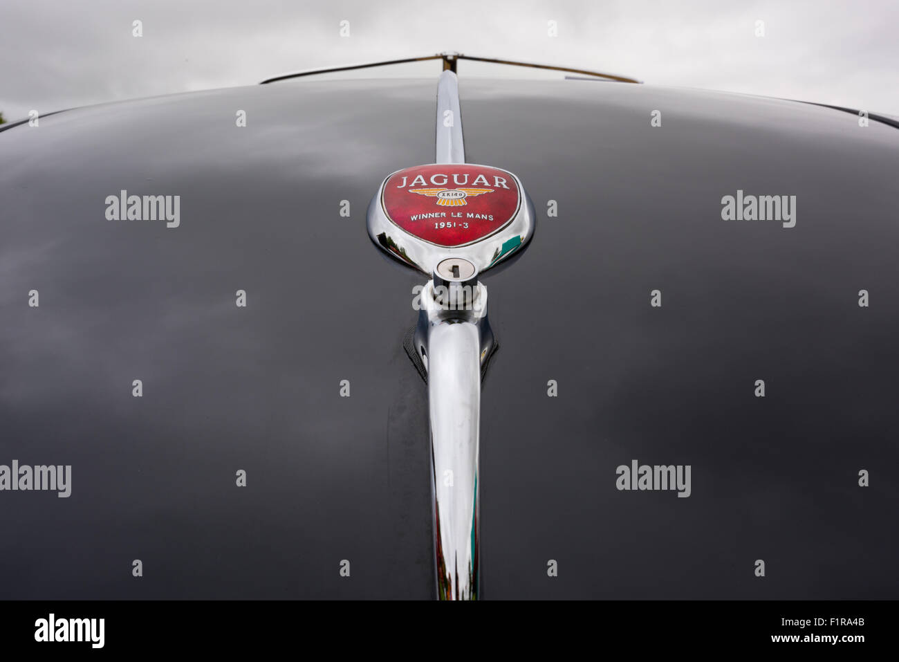 A rear view of a 1955 black Jaguar XK140 at The Beckbury Show 2015 ...