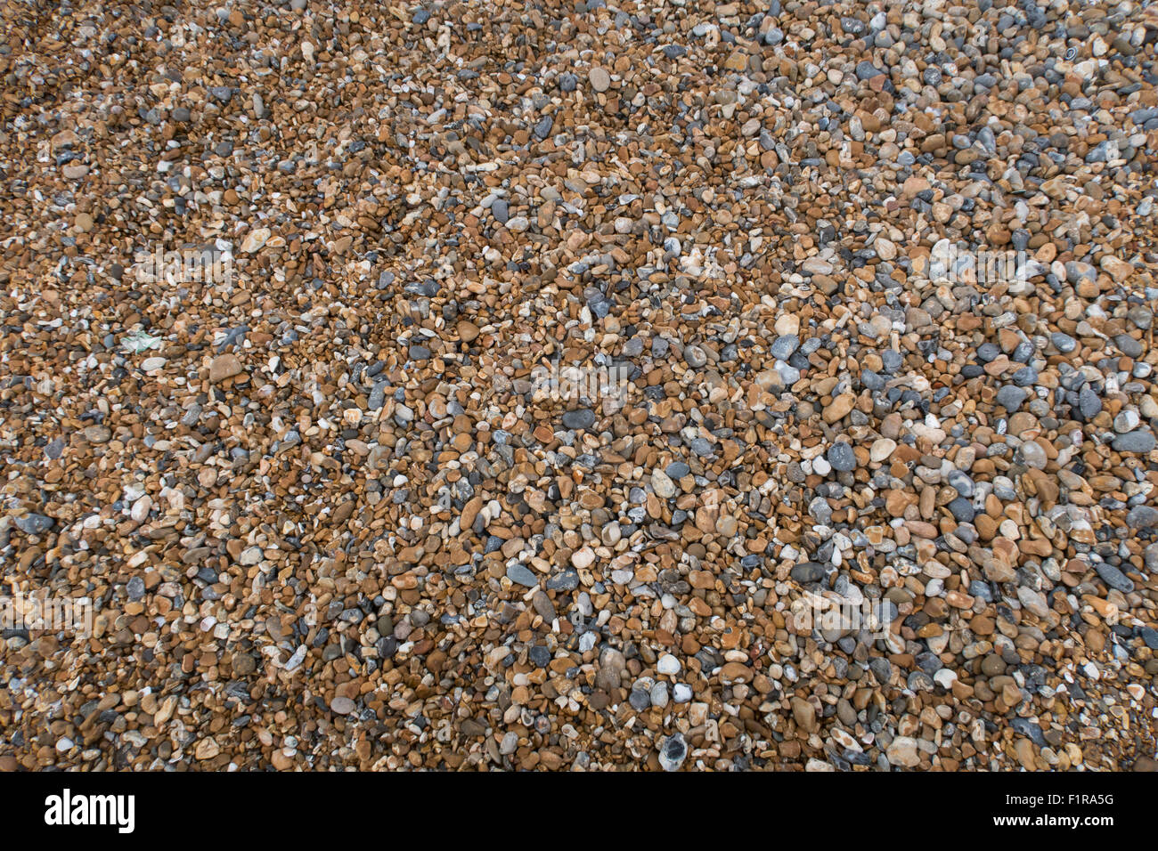 Pebbles on the beach at Brighton, East Sussex, Britain Stock Photo - Alamy