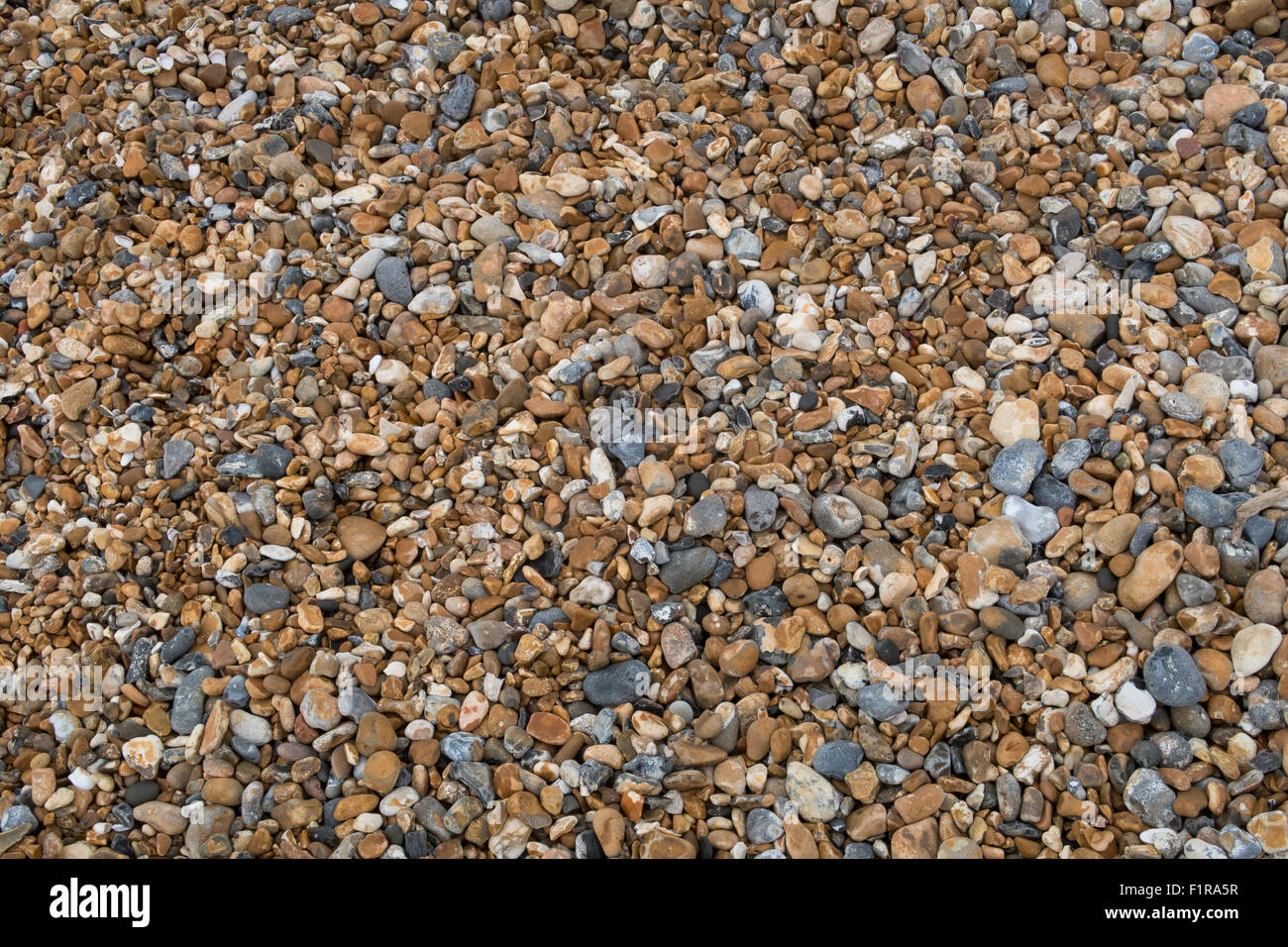 Pebbles on the beach at Brighton, East Sussex, Britain Stock Photo - Alamy