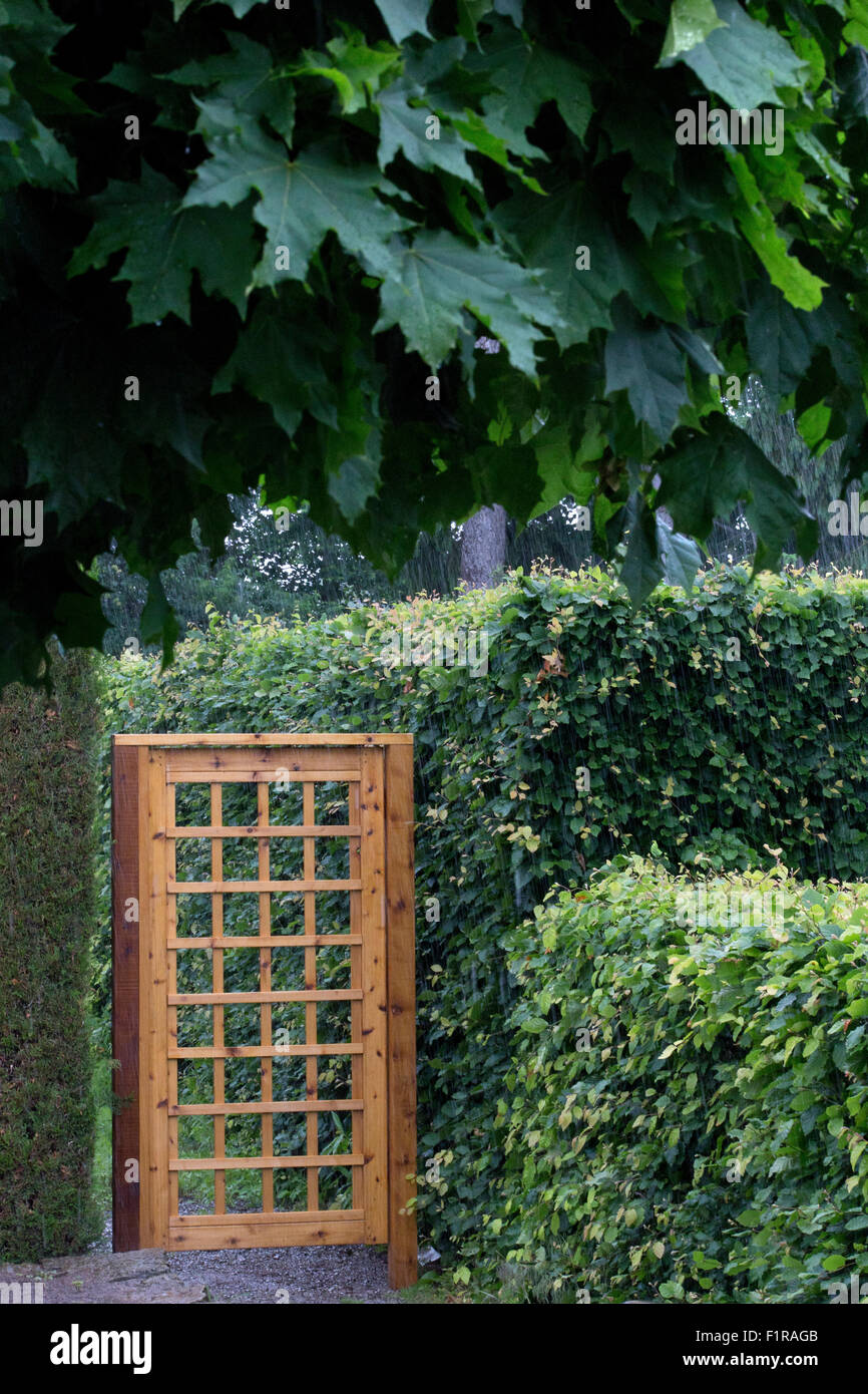 Overhanging tree hi-res stock photography and images - Alamy