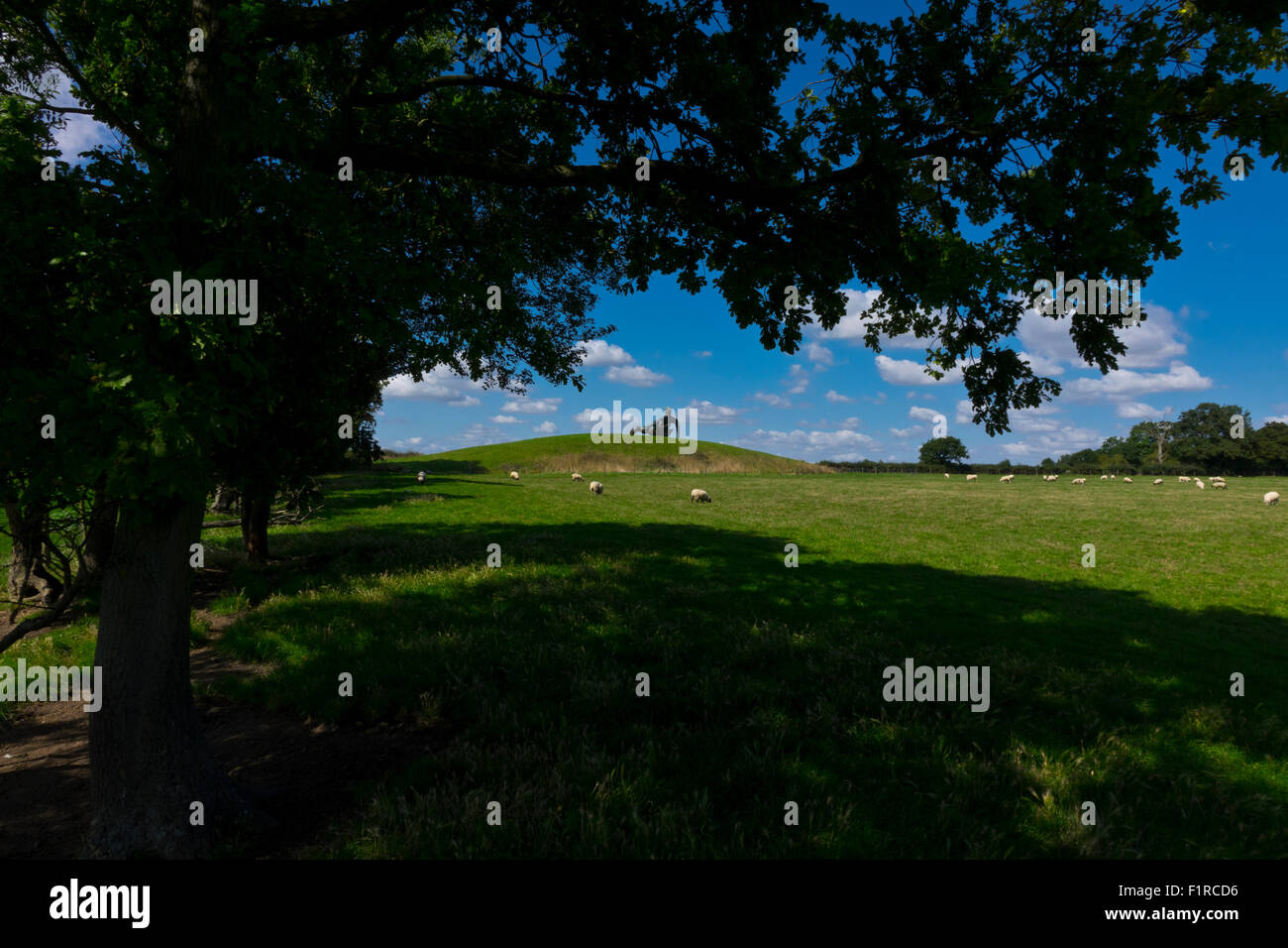 Henry Moore Sculpture Large reclining figure 1984 Stock Photo - Alamy