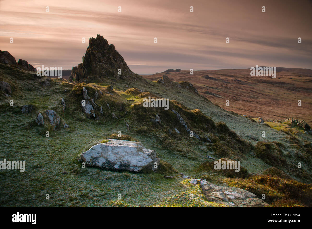 foel drygarn, preseli hills west wales Stock Photo - Alamy