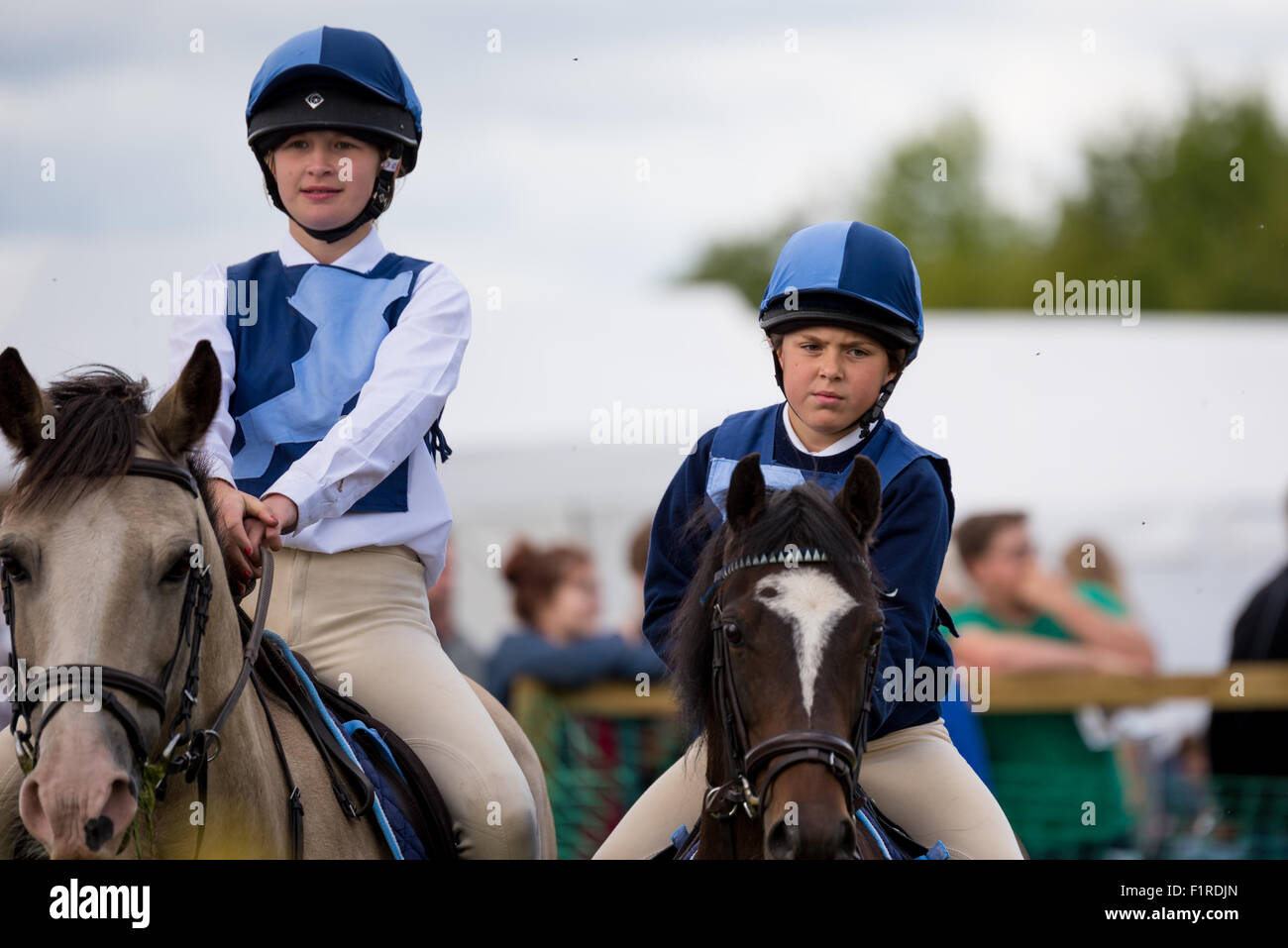 Land girls horse hi-res stock photography and images - Alamy