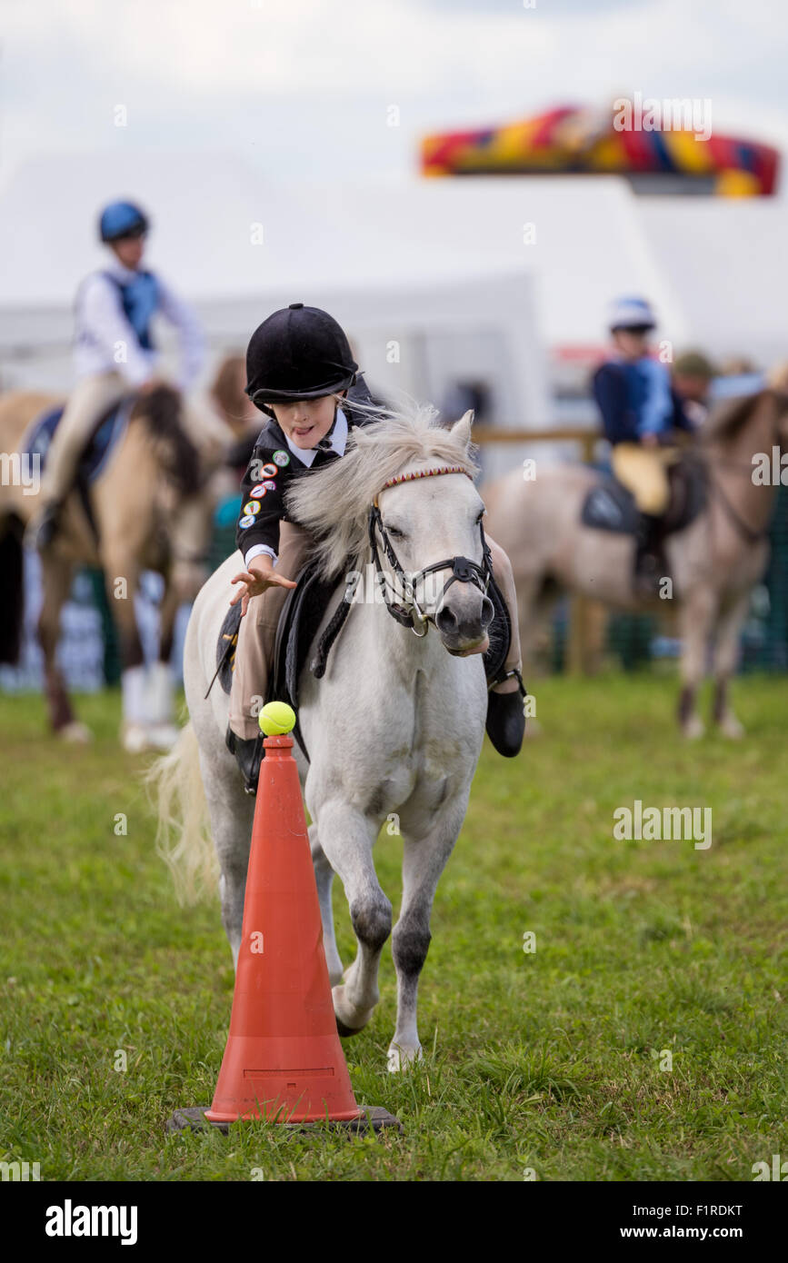 A young girl riding her pony in a competition at The Beckbury Show 2015 ...