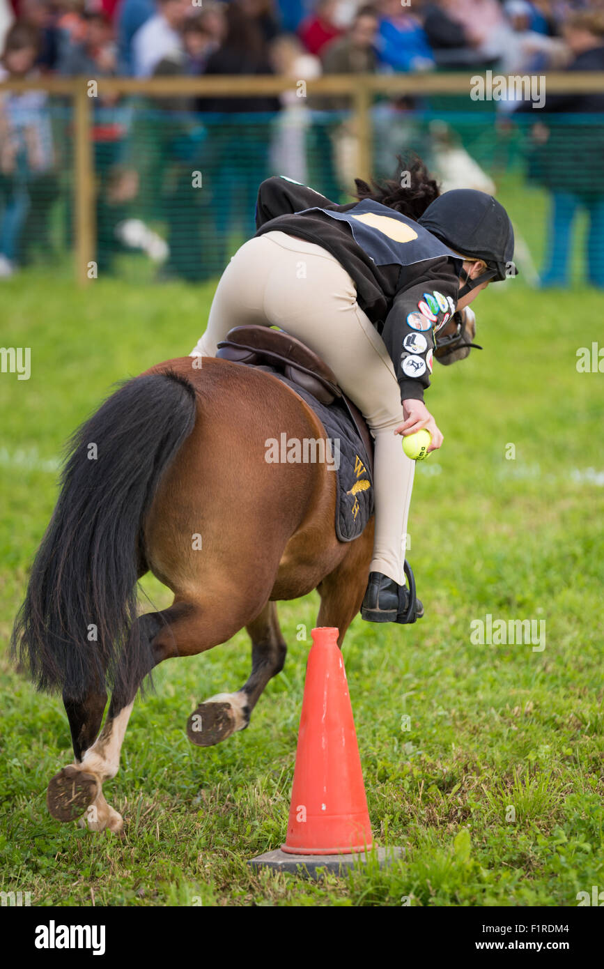 A young girl riding her pony in a competition at The Beckbury Show 2015 ...