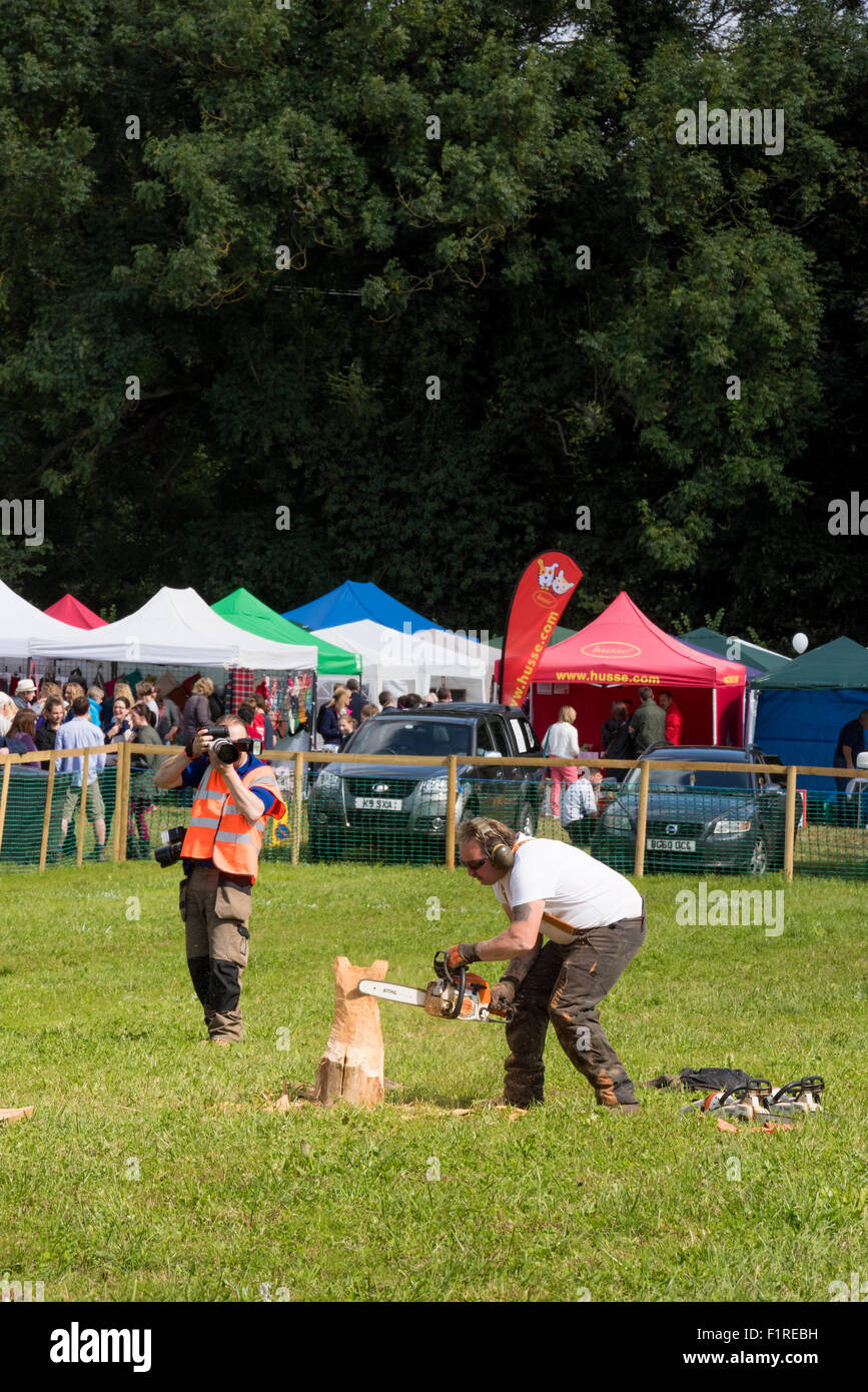 Professional bear hi-res stock photography and images - Alamy