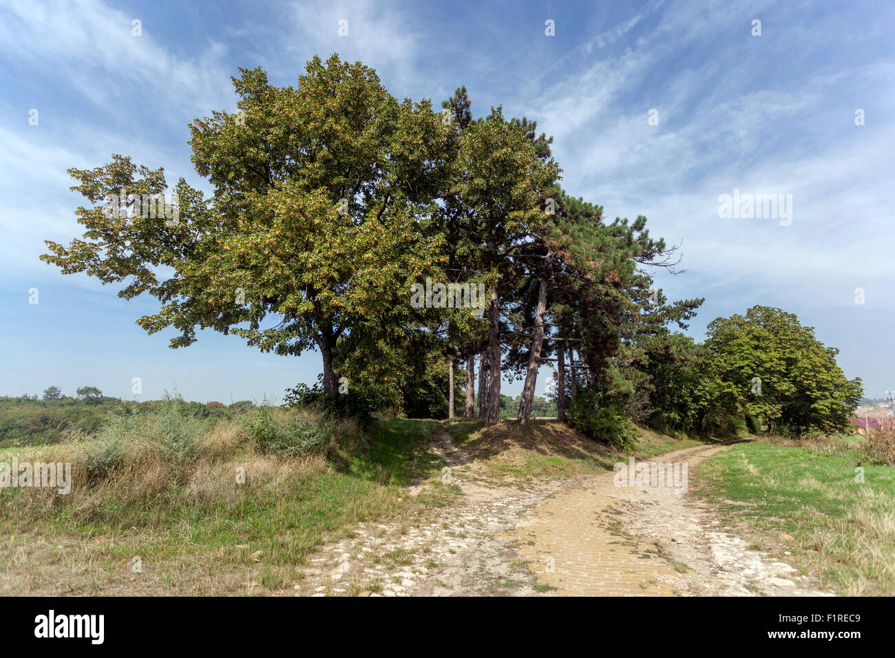 Landscape, South Moravia, Czech Republic tree, path, road, view ...