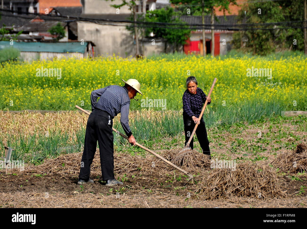 Husband and wife farmers hi-res stock photography and images - Alamy