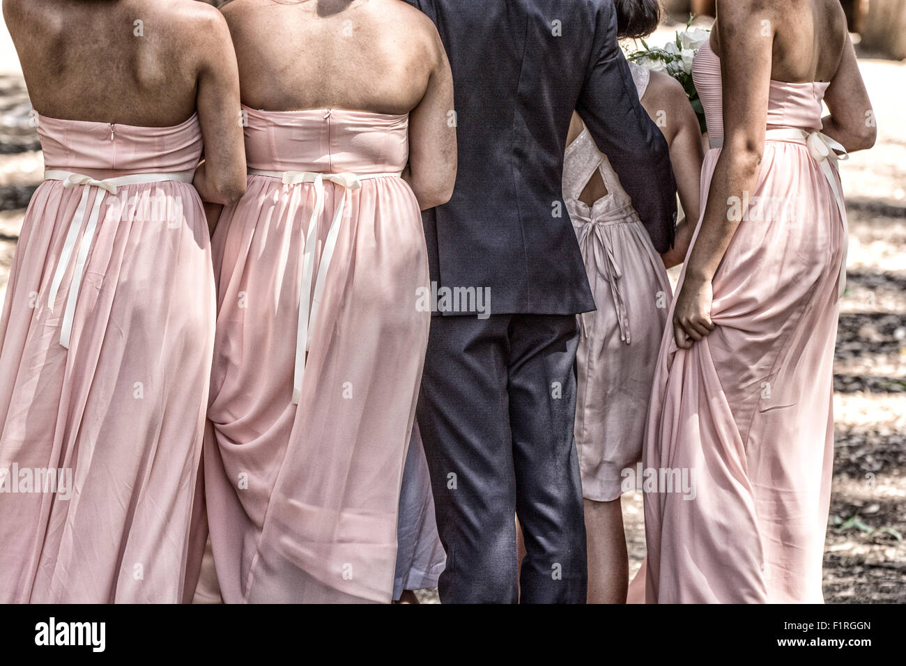 The back view of a wedding party Stock Photo - Alamy