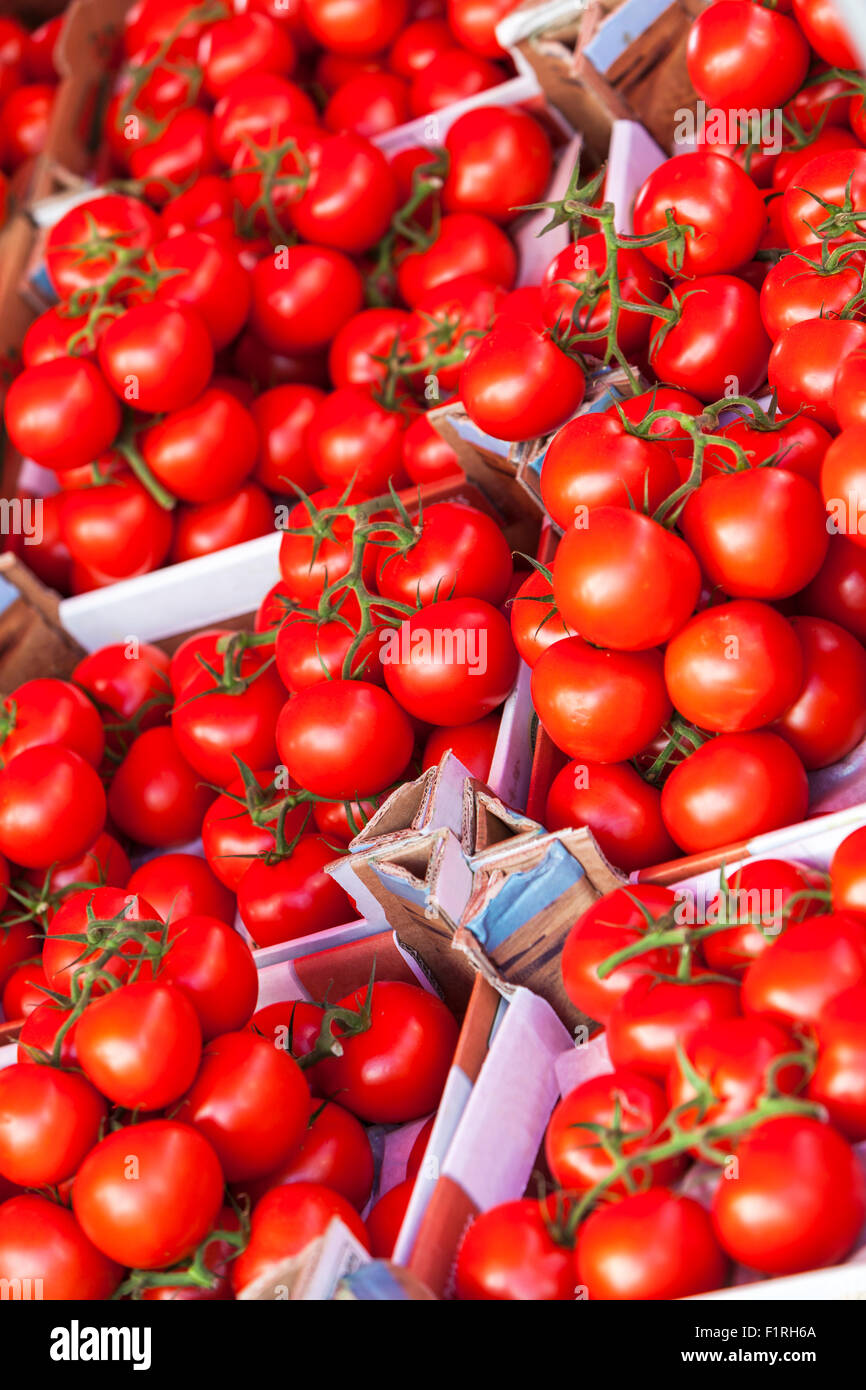 Boxes of ripe red tomatoes on display Stock Photo - Alamy