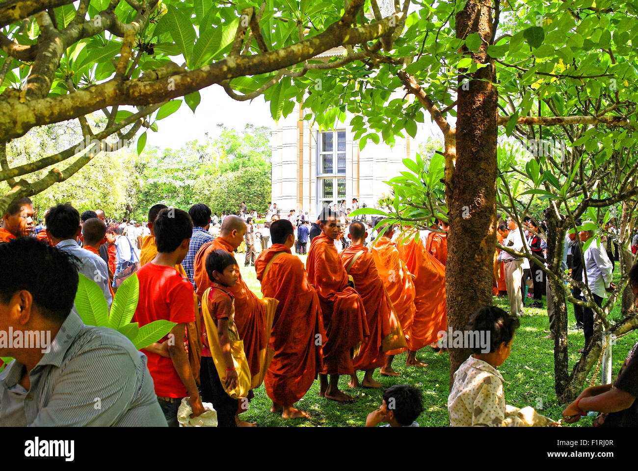 Killing tree, killing fields, Phnom Penh, Cambodia, death destruction ...