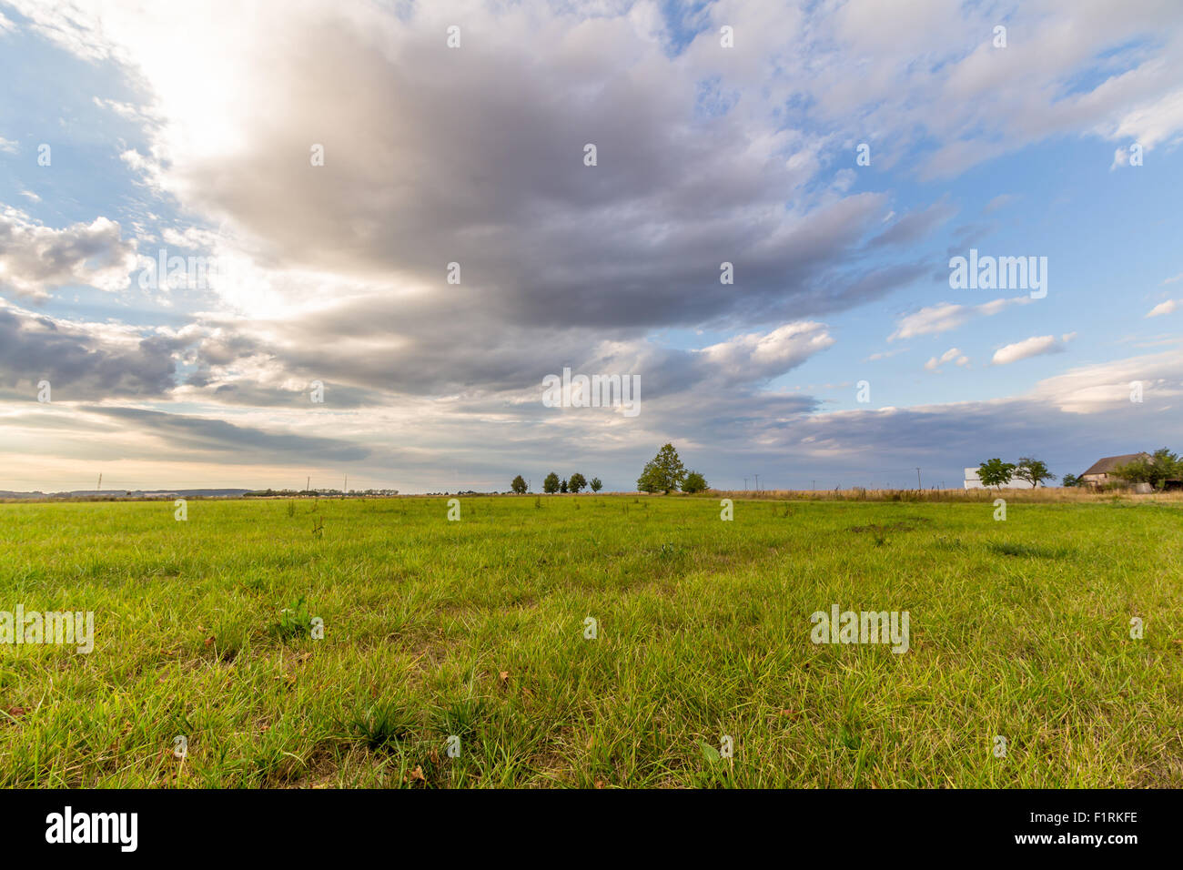 Dramatic plant hi-res stock photography and images - Alamy
