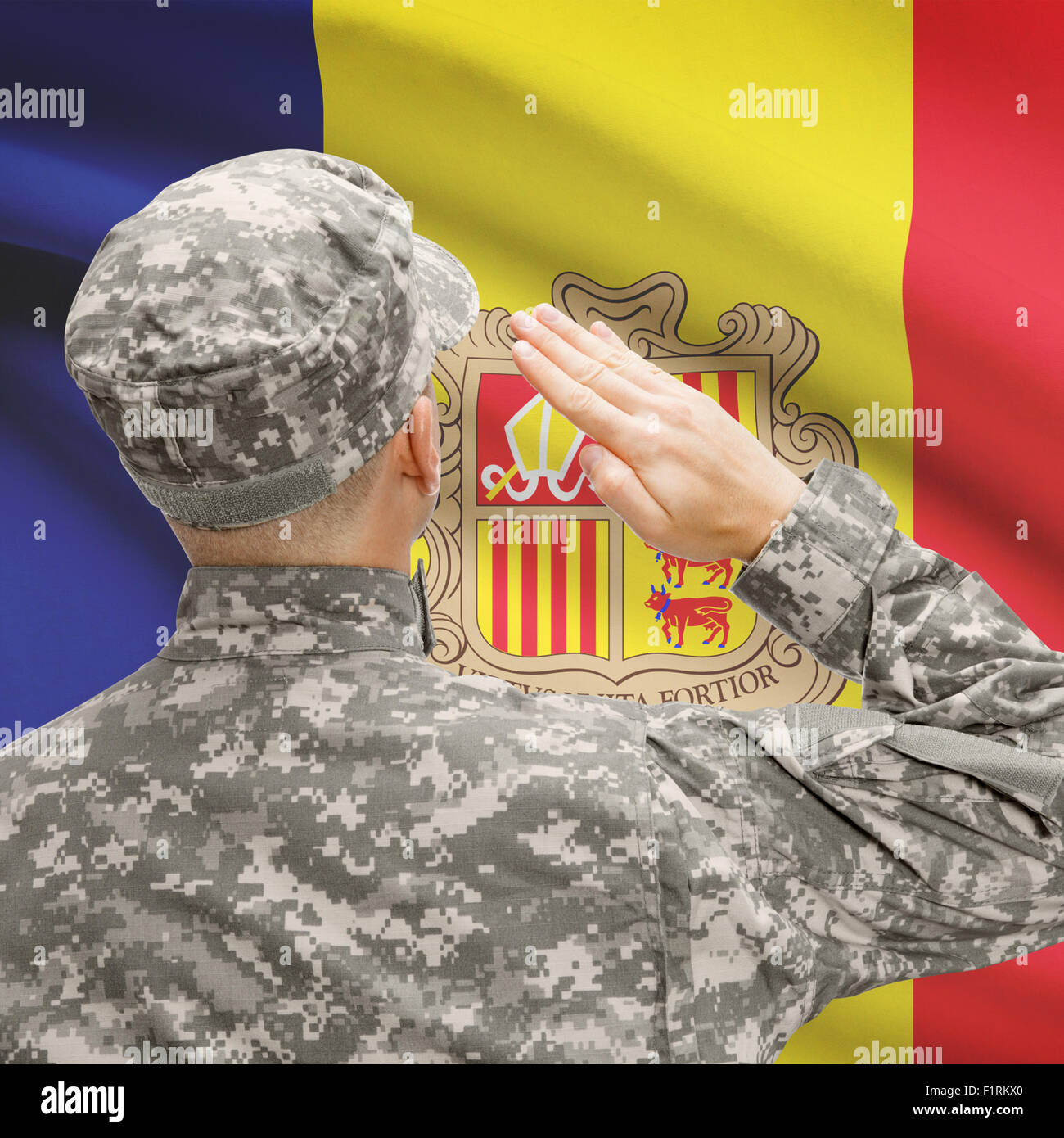 National military forces with flag on background conceptual series ...