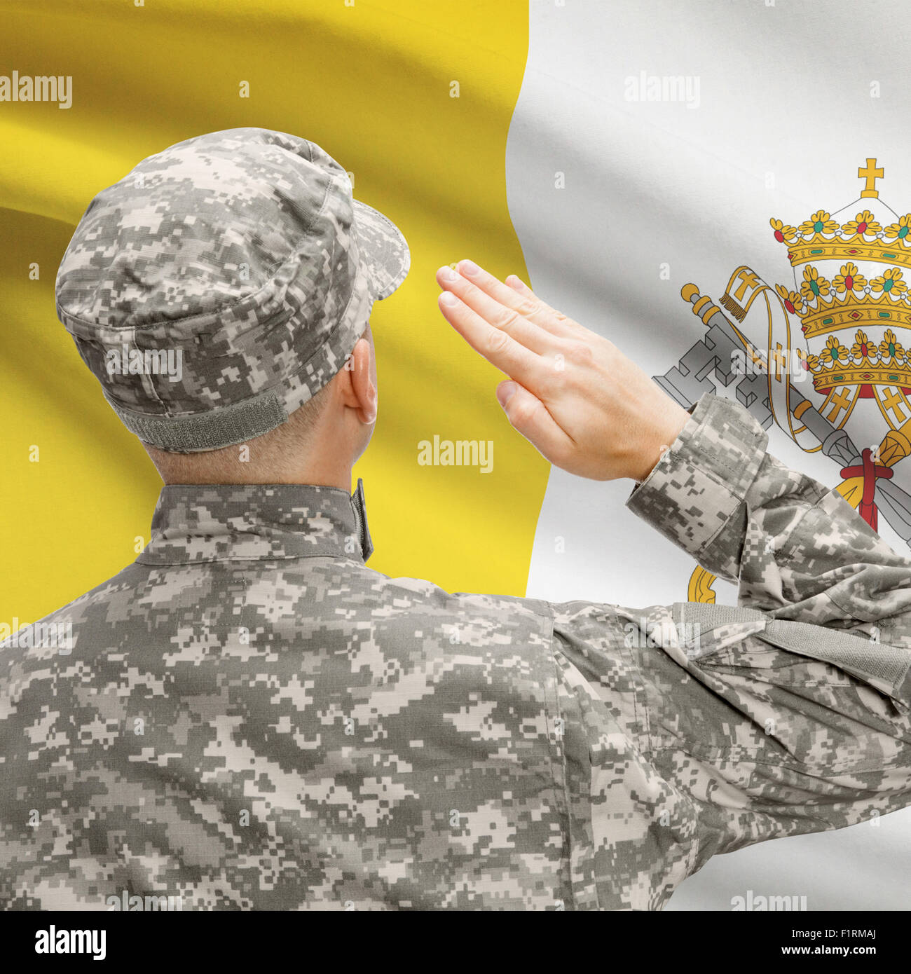 National military forces with flag on background conceptual series ...