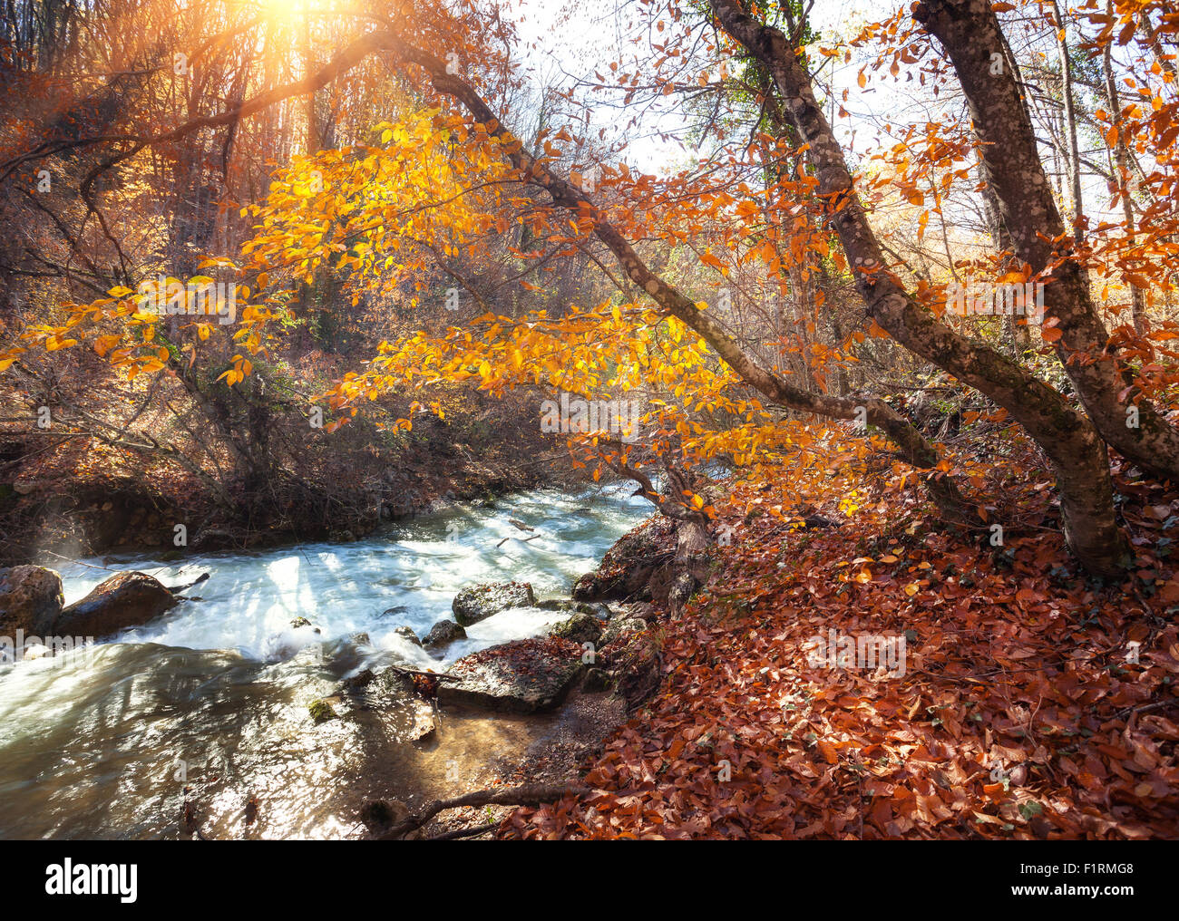 Beautiful autumn forest with river in crimean mountains at sunset ...