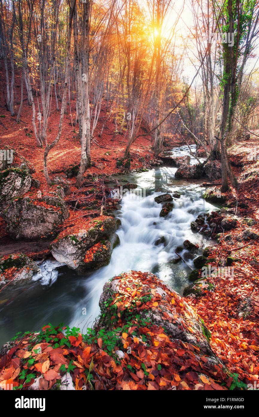 Beautiful autumn forest with river in crimean mountains at sunset ...