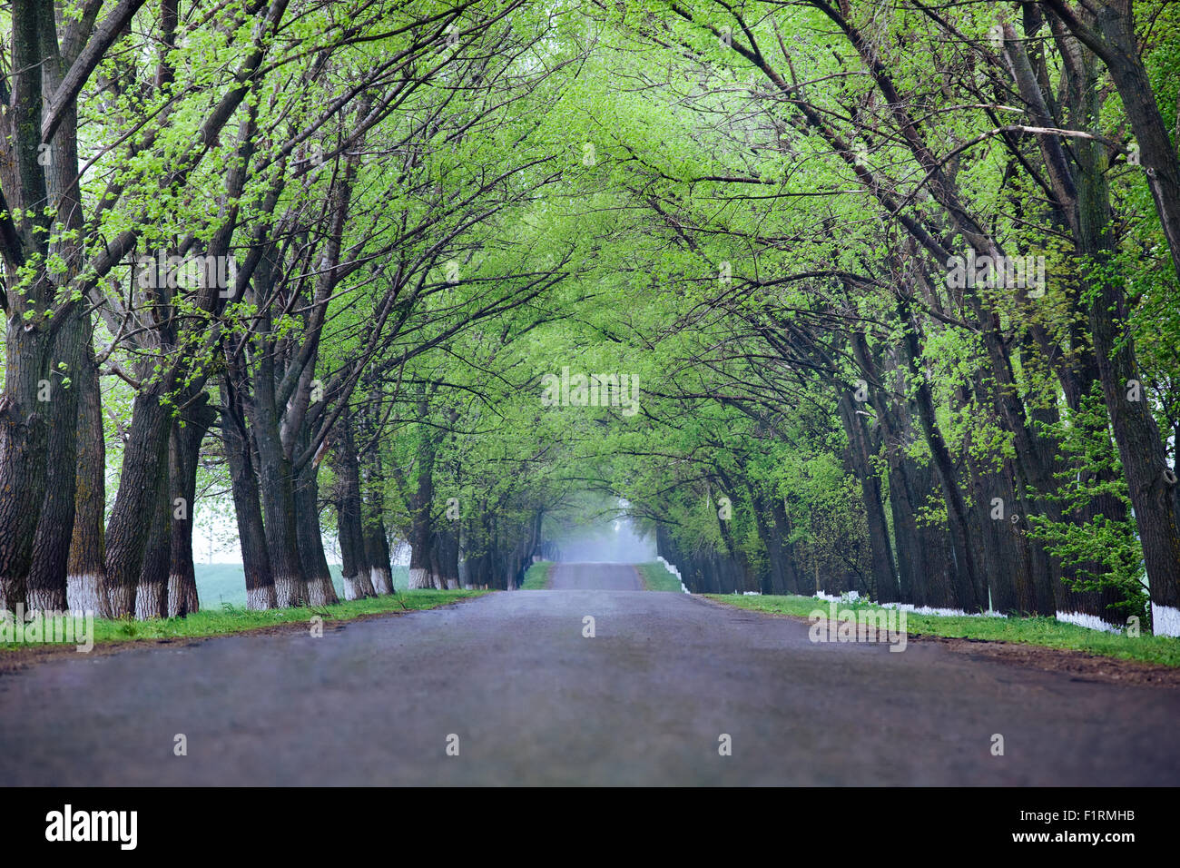 Back country road hi-res stock photography and images - Alamy