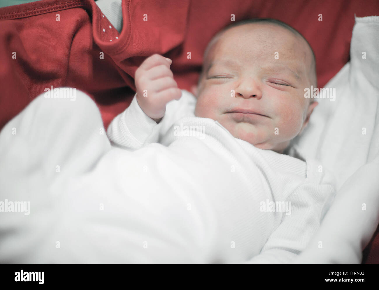 Cute newborn baby girl resting Stock Photo - Alamy
