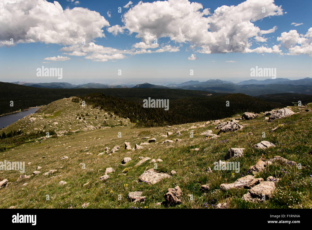 mountain landscape scenery near the continental divide above timberline ...