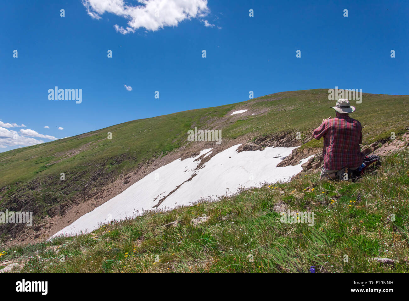 mountain landscape scenery near the continental divide above timberline ...