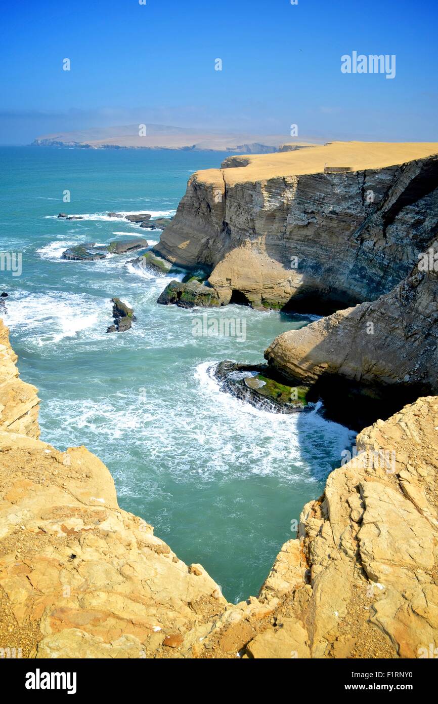 Reserva natural paracas hi-res stock photography and images - Alamy
