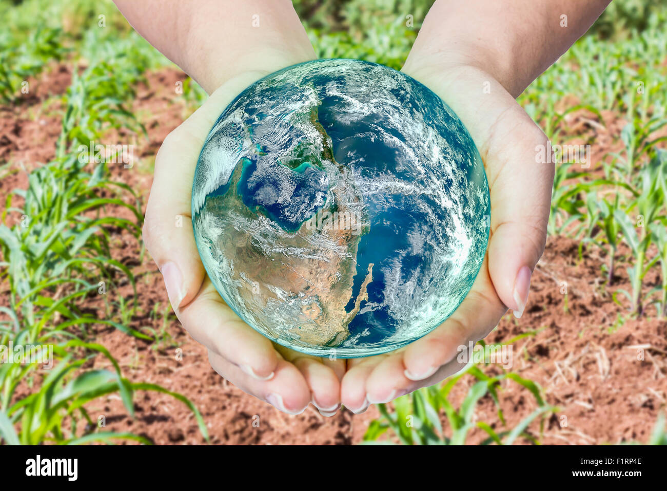 Hand holding world globe hands hi-res stock photography and images - Alamy