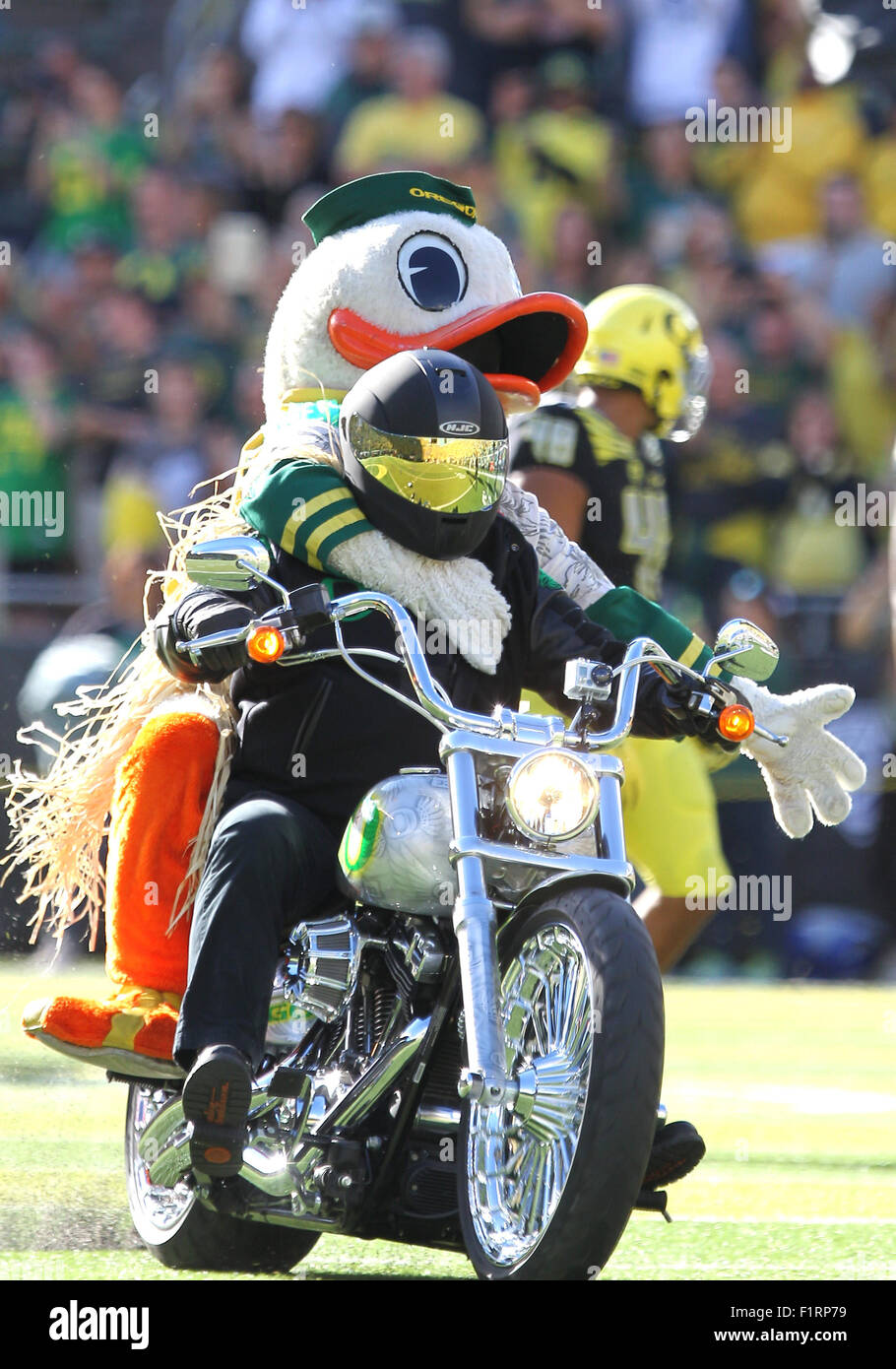 Autzen Stadium, Eugene, OR, USA. 5th Sep, 2015. The Oregon Duck gets ...