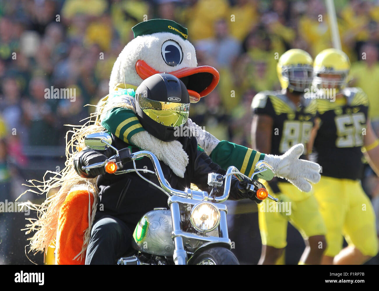 Autzen Stadium, Eugene, OR, USA. 5th Sep, 2015. The Oregon Duck gets ...