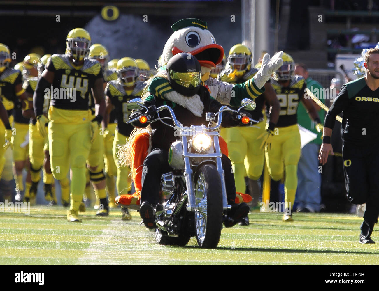 Autzen Stadium, Eugene, OR, USA. 5th Sep, 2015. The Oregon Duck gets ...
