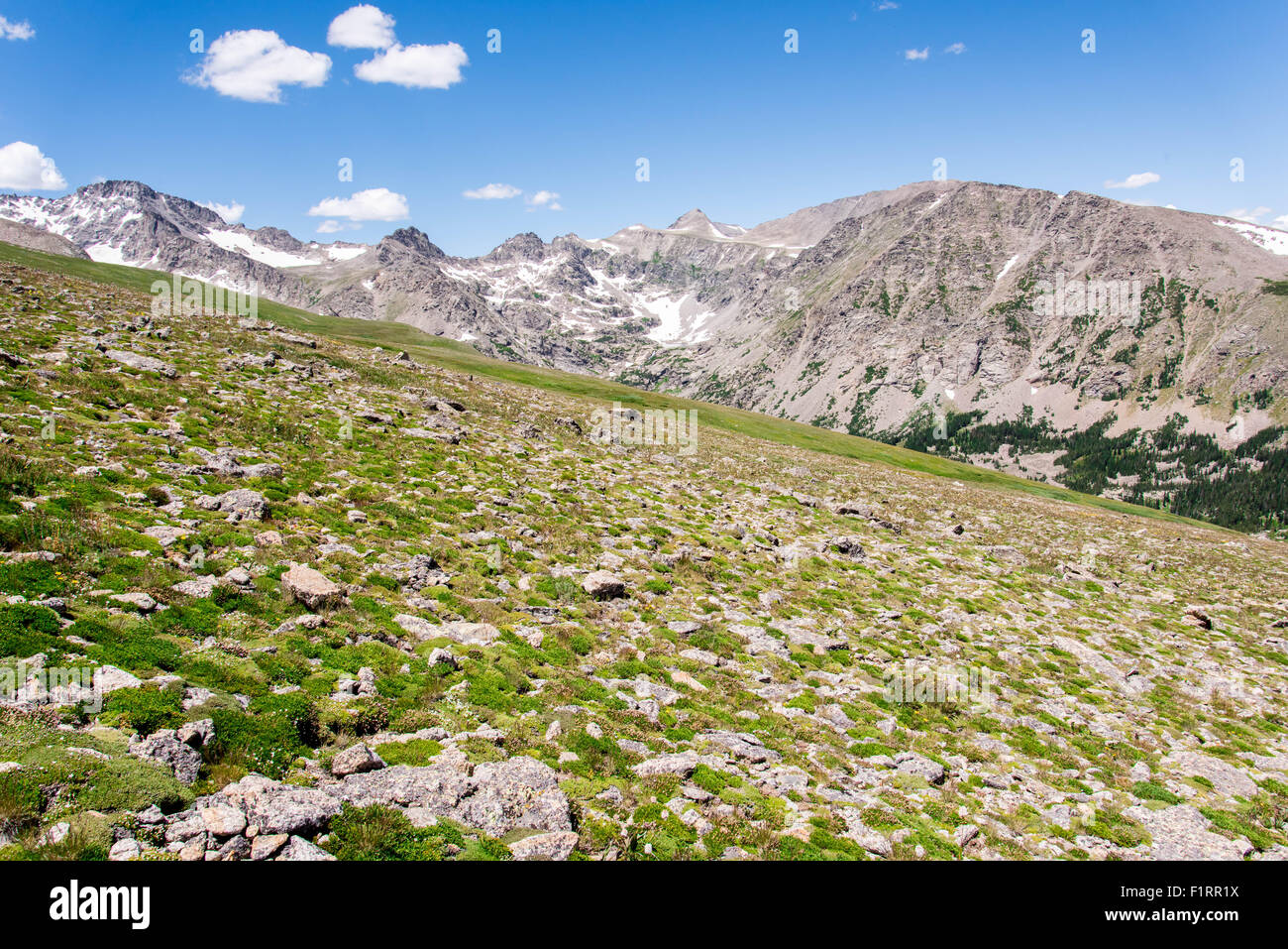 mountain landscape scenery near the continental divide above timberline ...