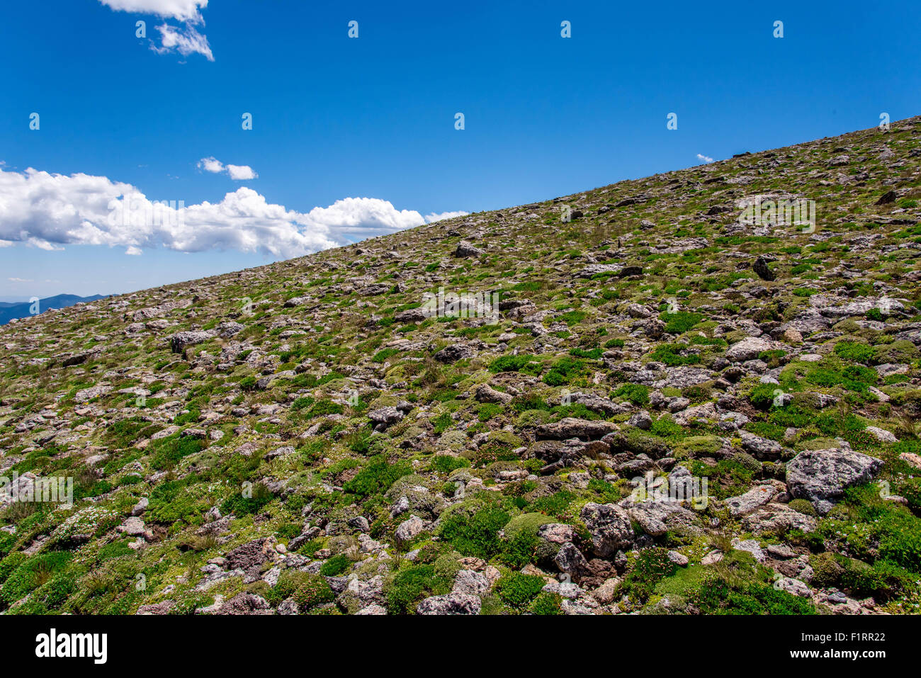 mountain landscape scenery near the continental divide above timberline ...