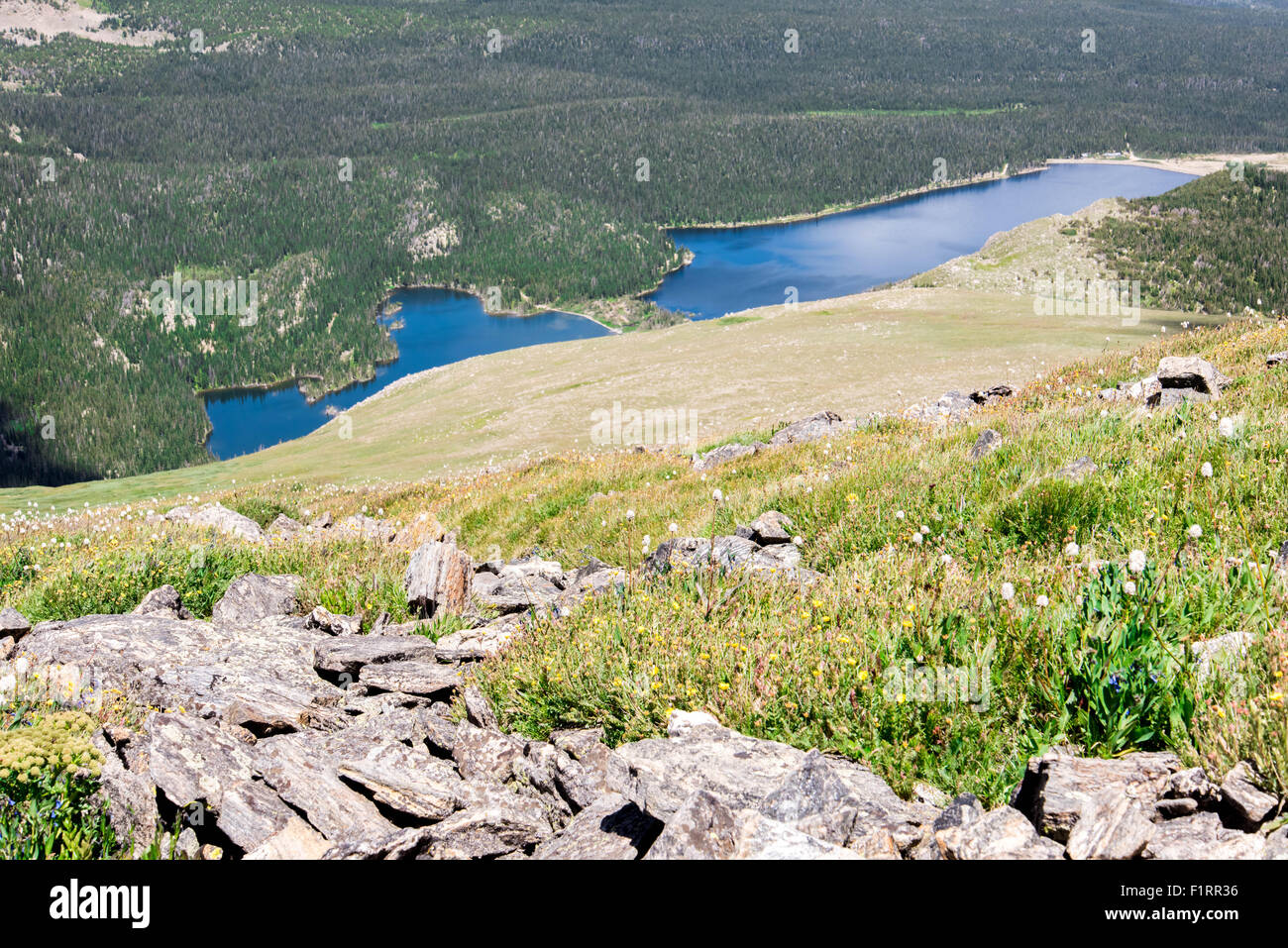 mountain landscape scenery near the continental divide above timberline ...