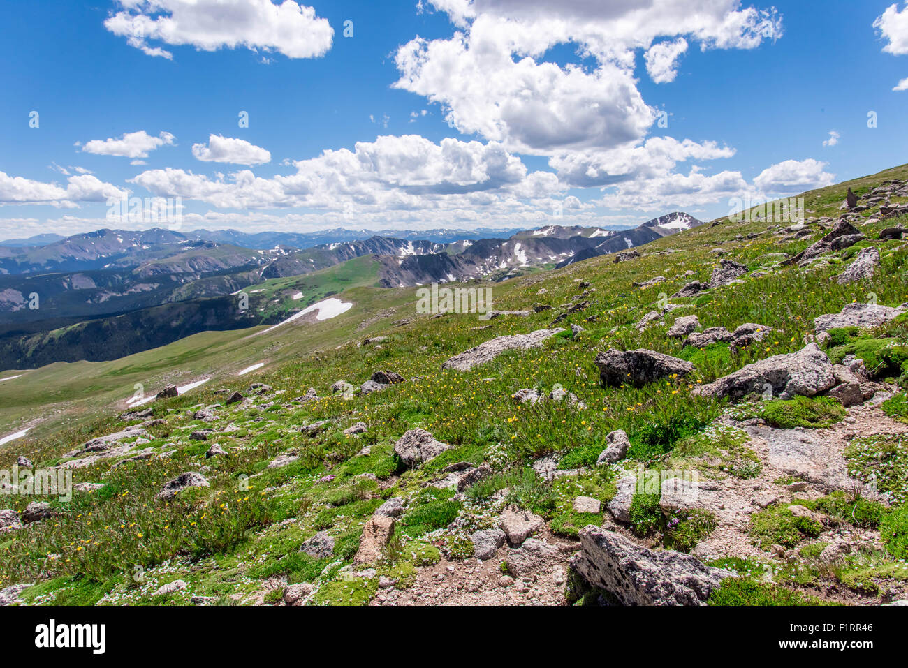 mountain landscape scenery near the continental divide above timberline ...