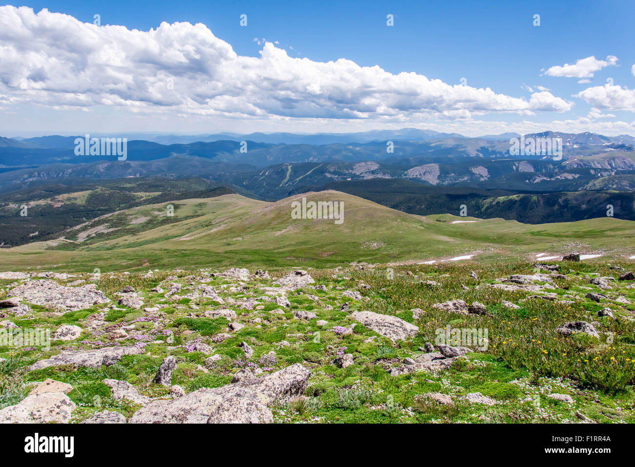 mountain landscape scenery near the continental divide above timberline ...