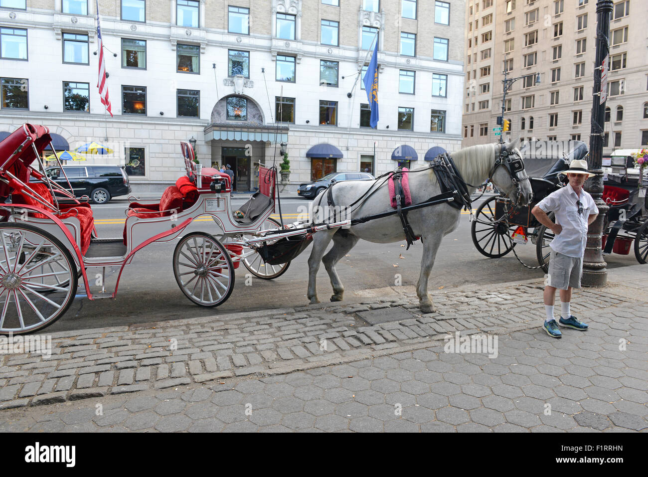 Overworked horses hi-res stock photography and images - Alamy