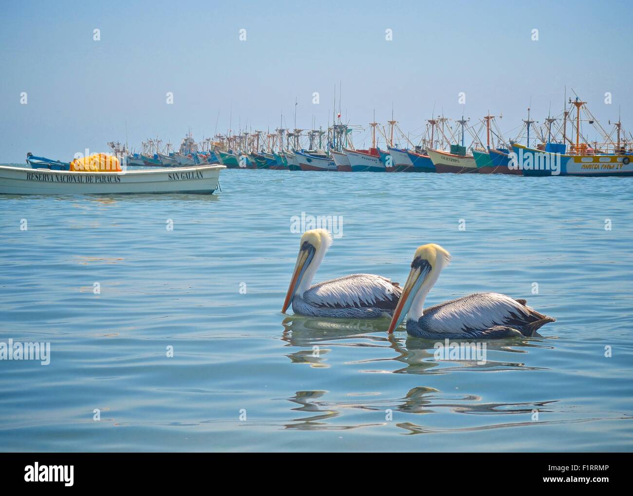 Ica town in desert peru hi-res stock photography and images - Alamy