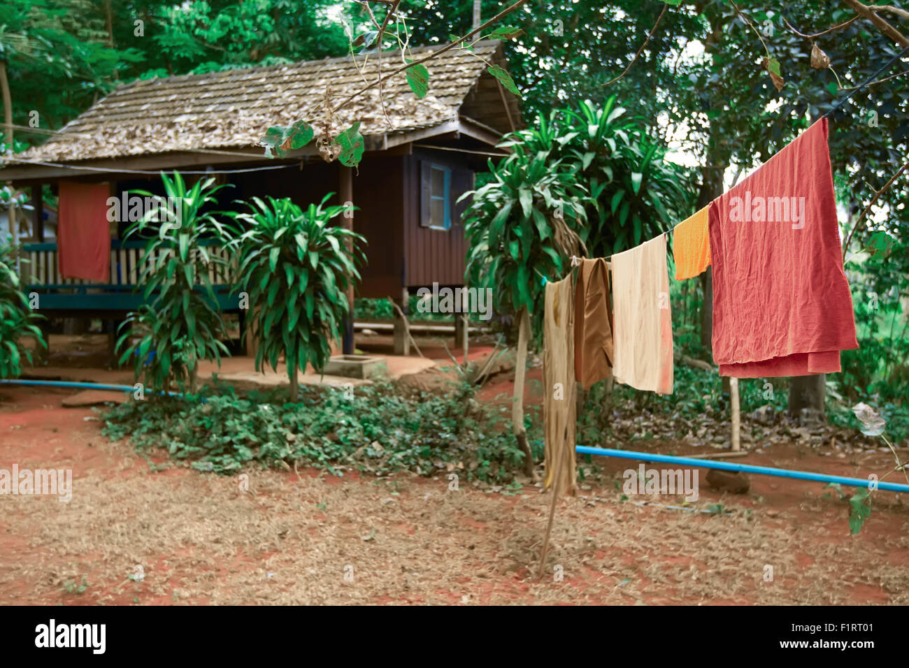 Native tree house hi-res stock photography and images - Alamy