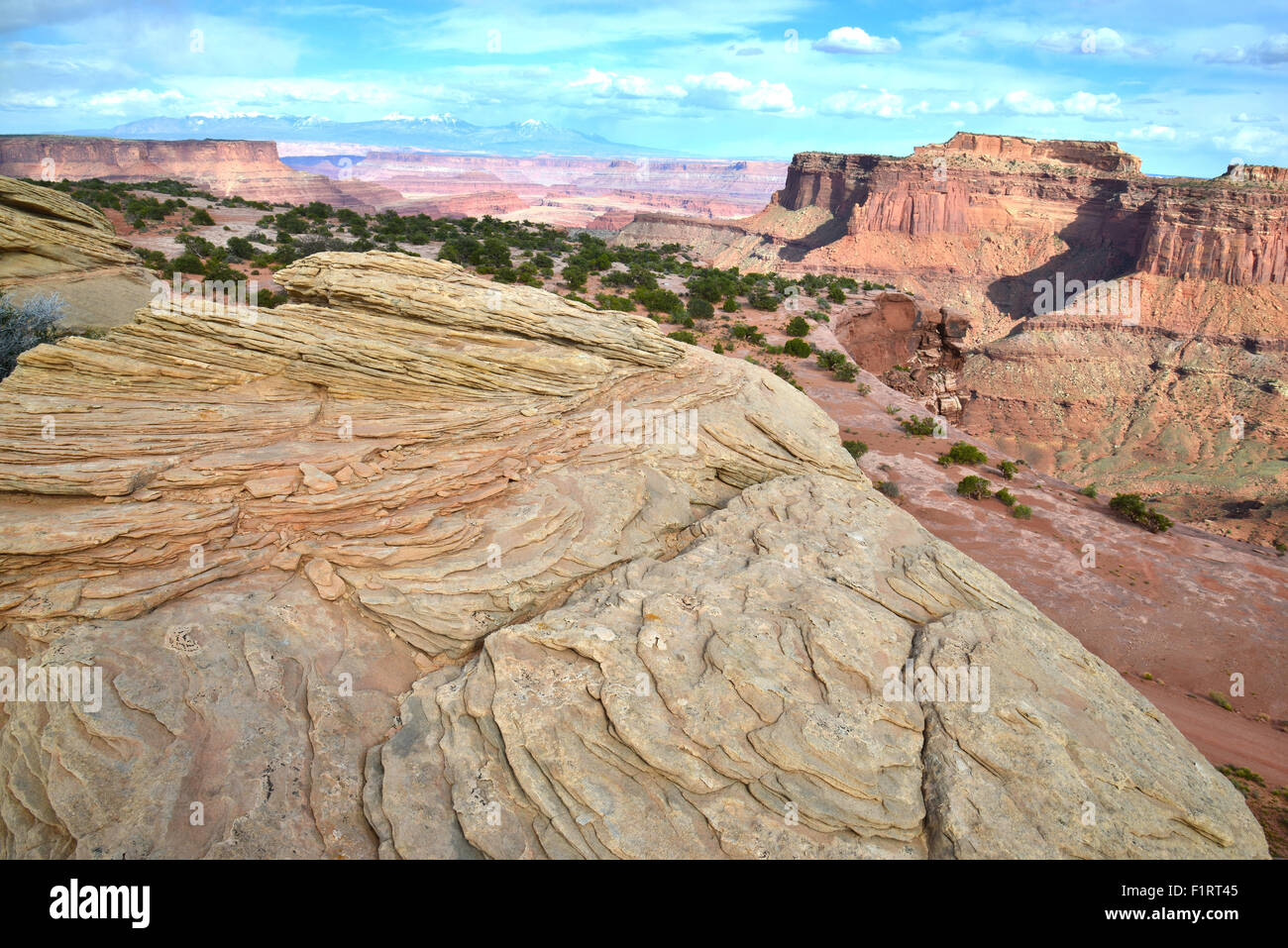 Overlooking Shafer Canyon and the Shafer Trail from the Neck area of ...